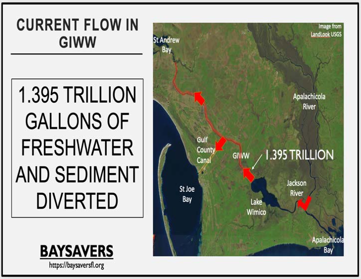 Our Story | Baysavers